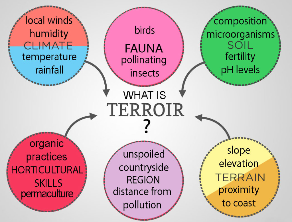 terroir-definition – The Fruit Forest